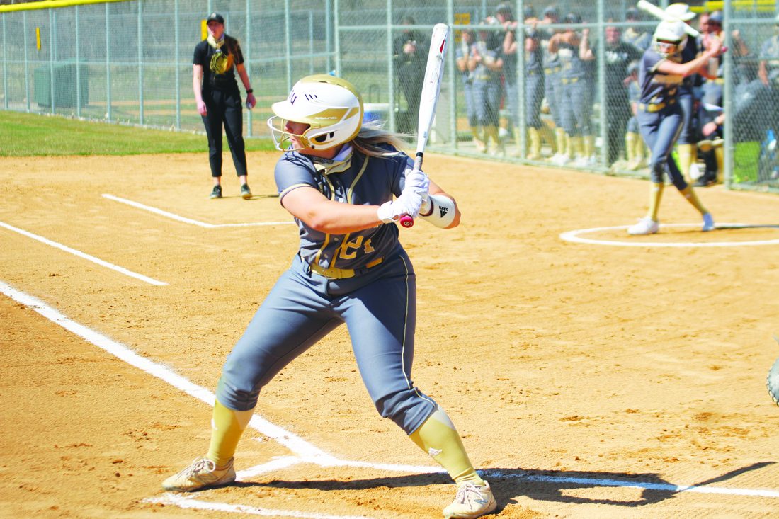 SMSU SOFTBALL: SMSU opens league play with road split versus USF | News ...